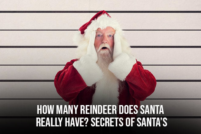 How Many Reindeer Does Santa Have? Secrets of Santa’s – Santa'Ville