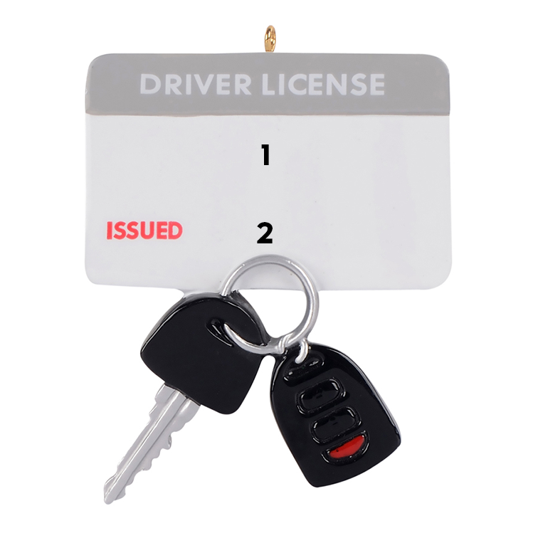 Driver's License Issued! – Santa'Ville